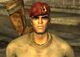 Compagnons de Fallout: New Vegas — Les Archives de Vault-Tec, wiki ...