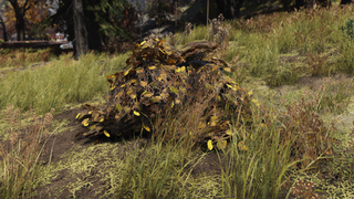 Fruit mutant (Fallout 76) — Les Archives de Vault-Tec